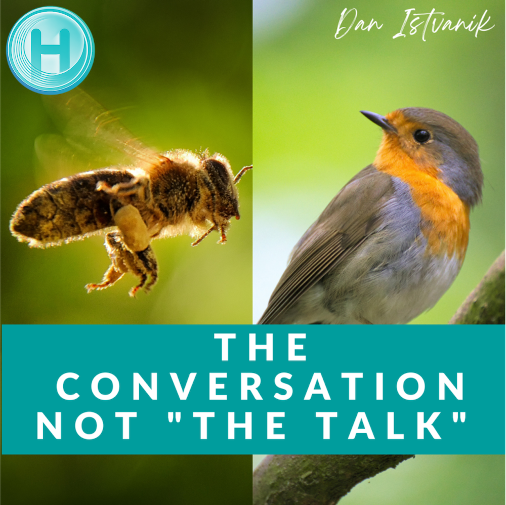 The Conversation, NOT " The Talk"